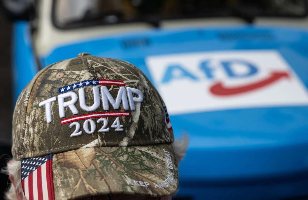 Trump is little more than Musk’s preening German AfD wannabe – Lee's ...